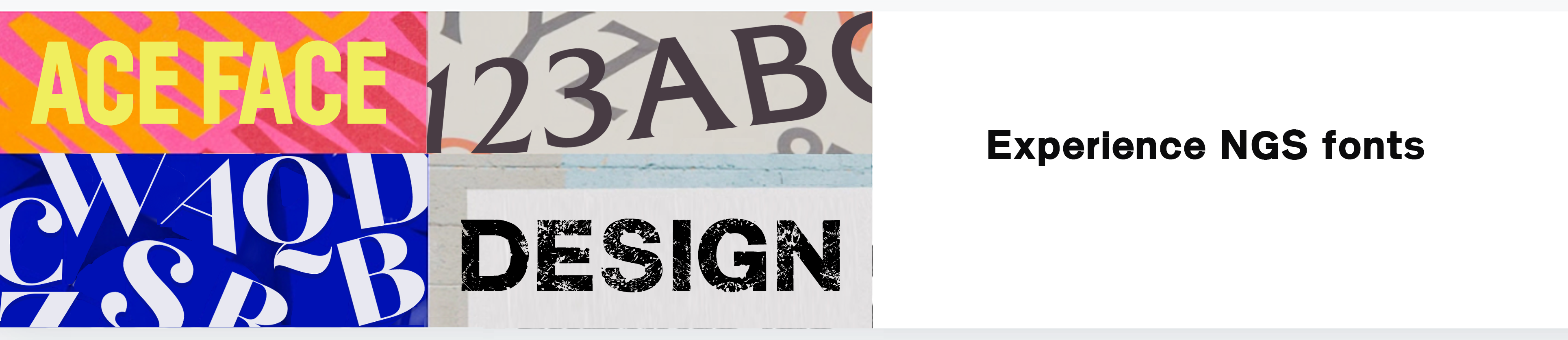 Design-led Typographic Signwriting. - NGS Sign lettering & writing.